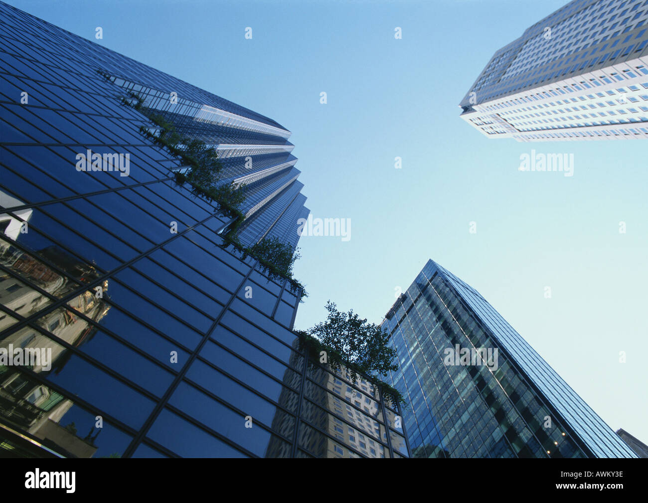 High rise skyscraper skyscrapers building buildings vegetation hi-res ...