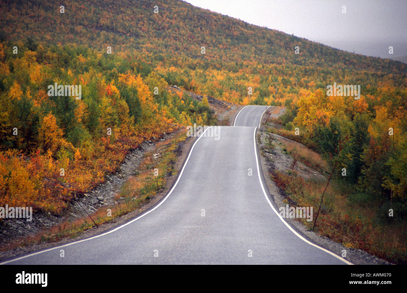 Country road passing through landscape Stock Photo - Alamy