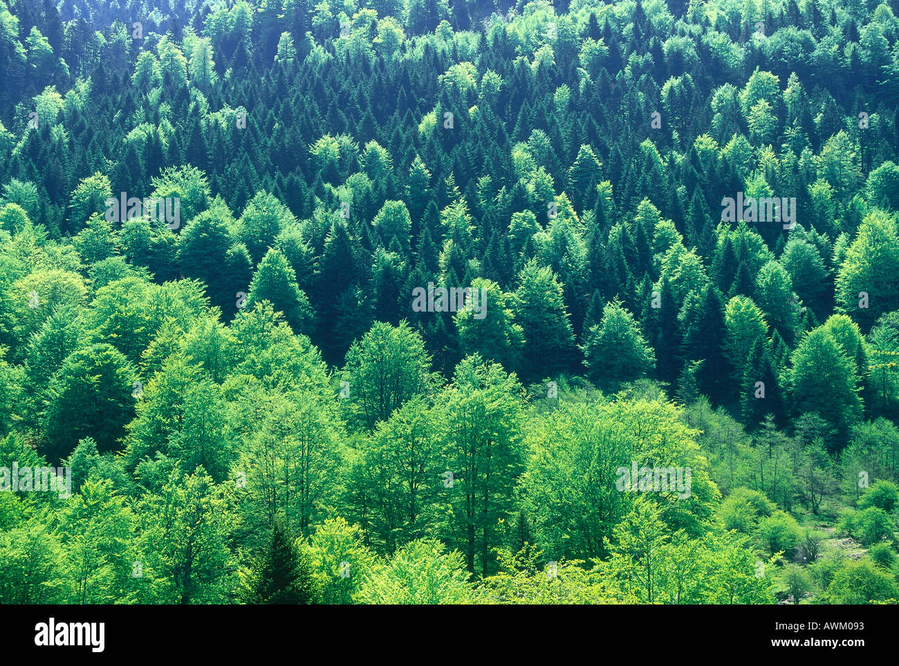 Anso valley hi-res stock photography and images - Alamy