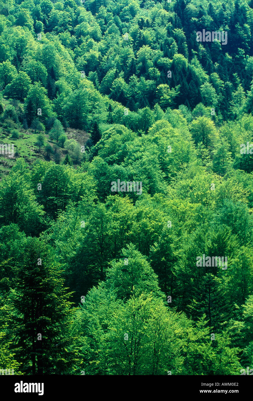 Anso valley hi-res stock photography and images - Alamy