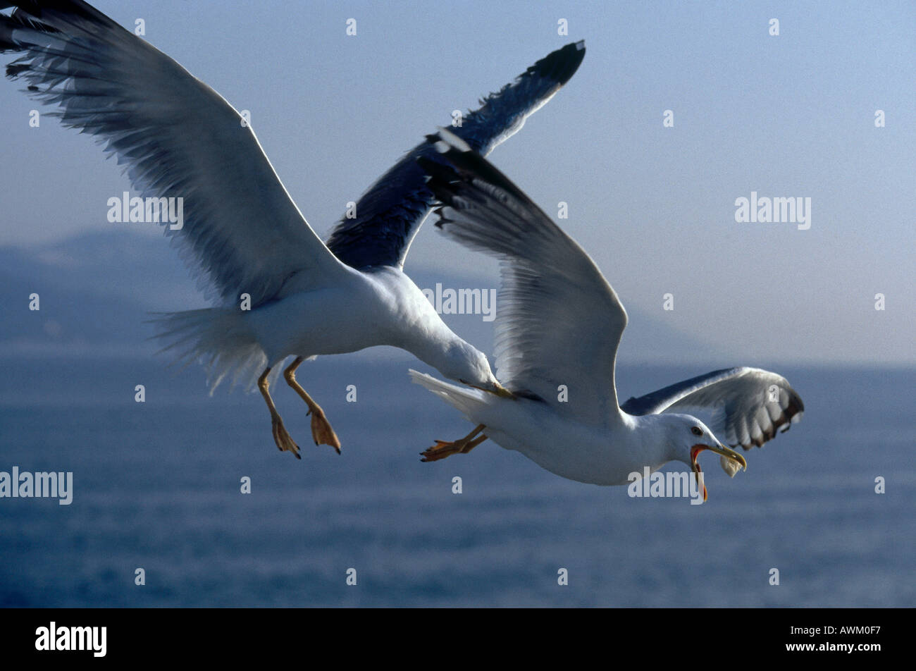 Another flight hi-res stock photography and images - Alamy