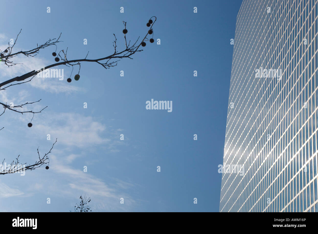 HighLight-Towers glass front, Munich, Bavaria, Germany Stock Photo - Alamy