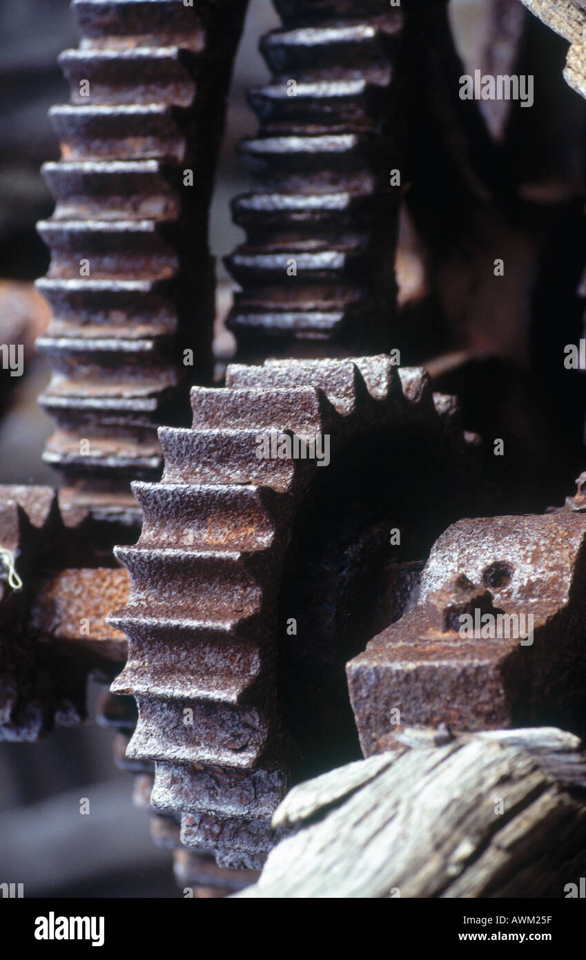 Close-up of cog wheels Stock Photo - Alamy