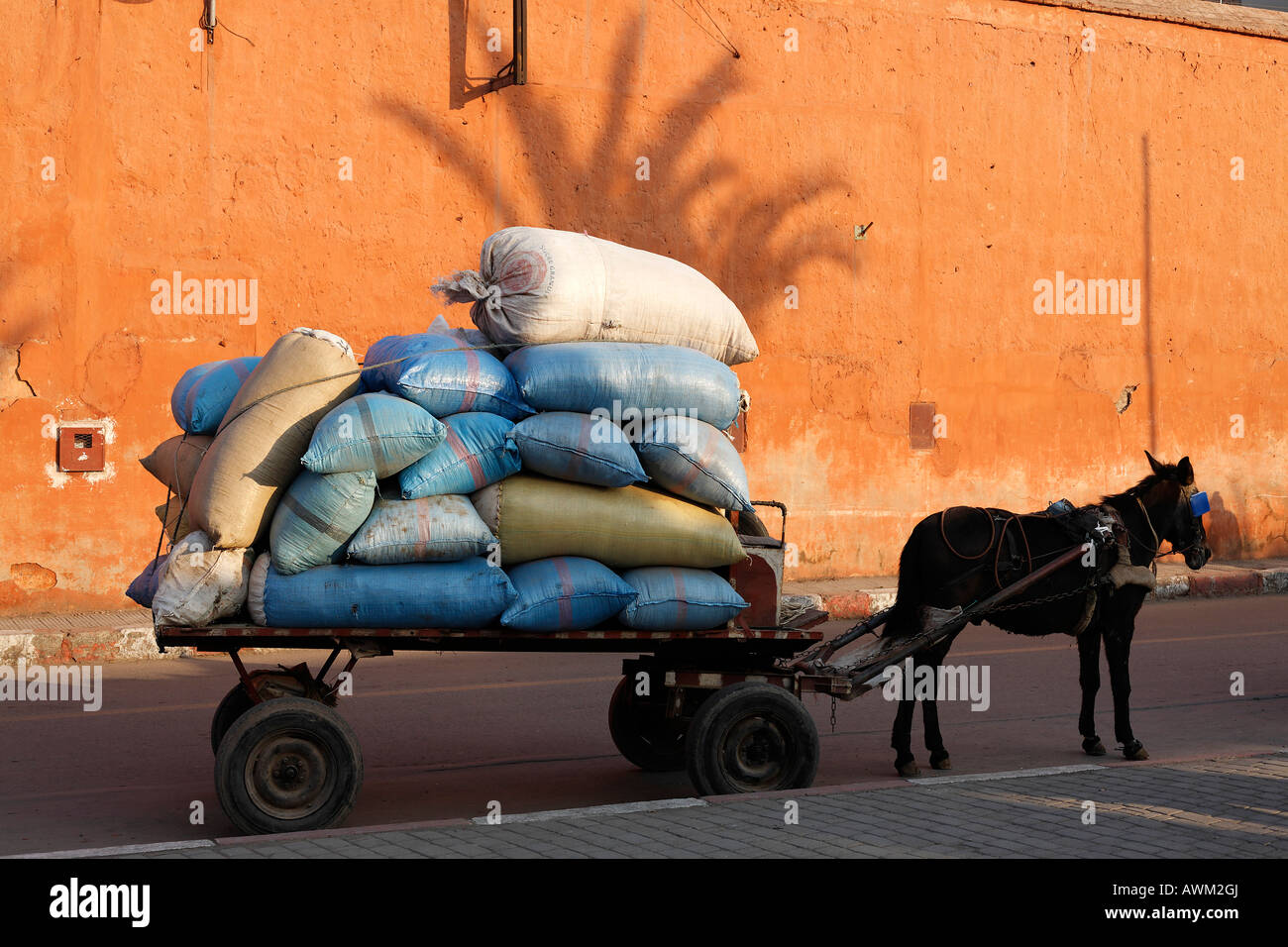 Heavily-laden mule cart loaded with blue sacks waiting in front of an ...