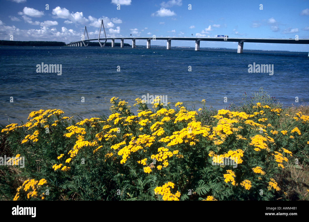 Island falster hi-res stock photography and images - Alamy