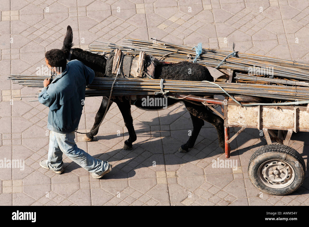 Man leading mule and cart loaded with reinforcing steel, Djemaa el Fna ...