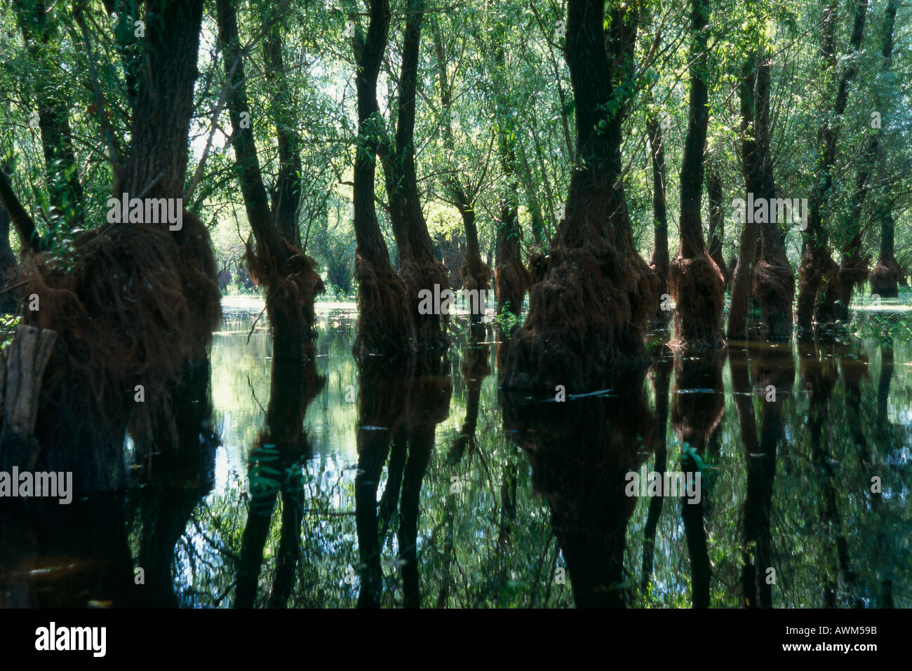 Plopu river hi-res stock photography and images - Alamy