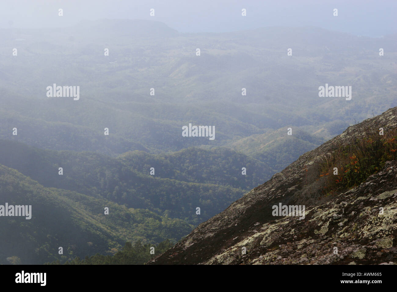cuban rainforest Sierra Maestra mountains Santiago Cuba Stock Photo - Alamy