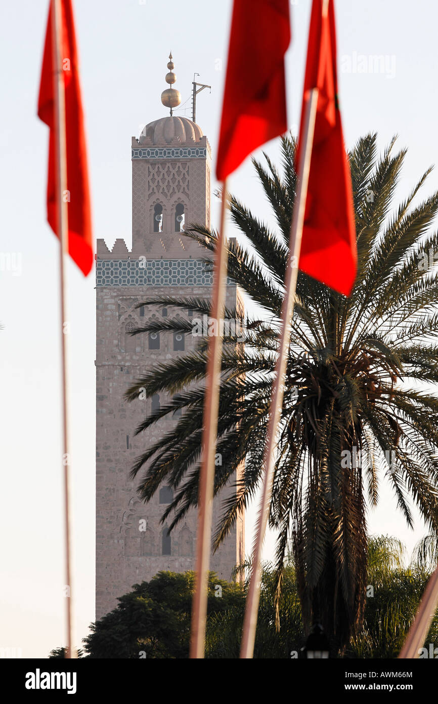 Minaret of the Koutoubia mosque with palm trees an red flags, Marrakech ...