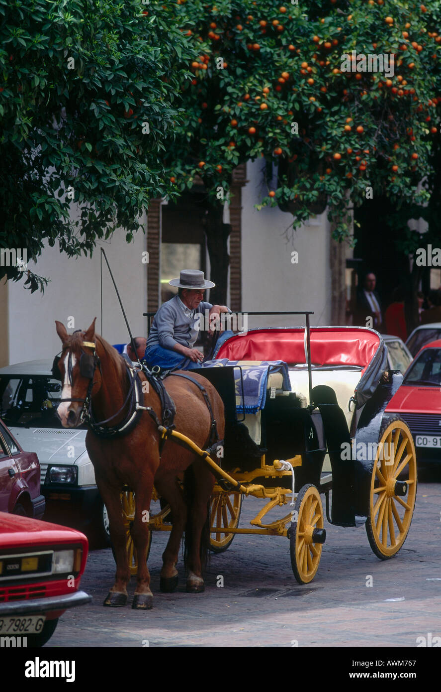 Man on horse drawn carriage hi-res stock photography and images - Alamy