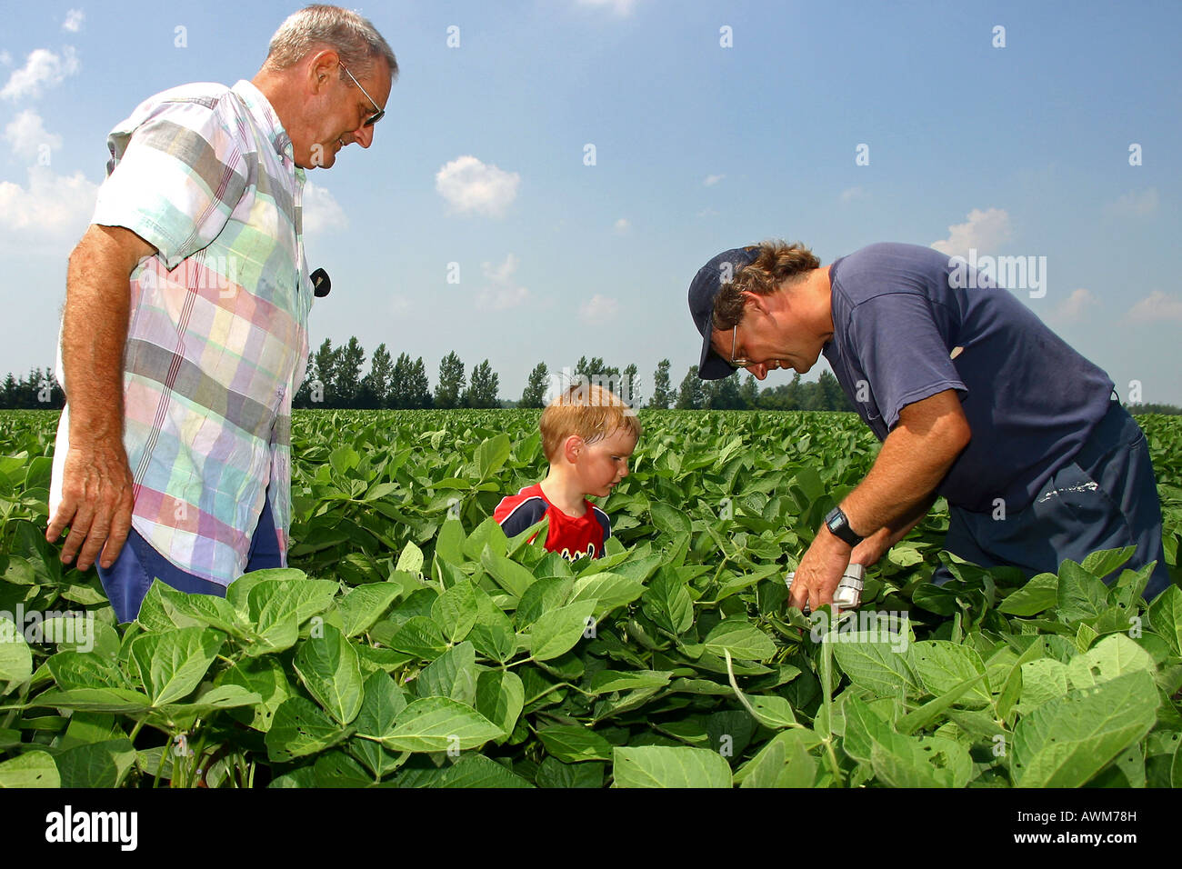 Three generations of a family farm Stock Photo - Alamy