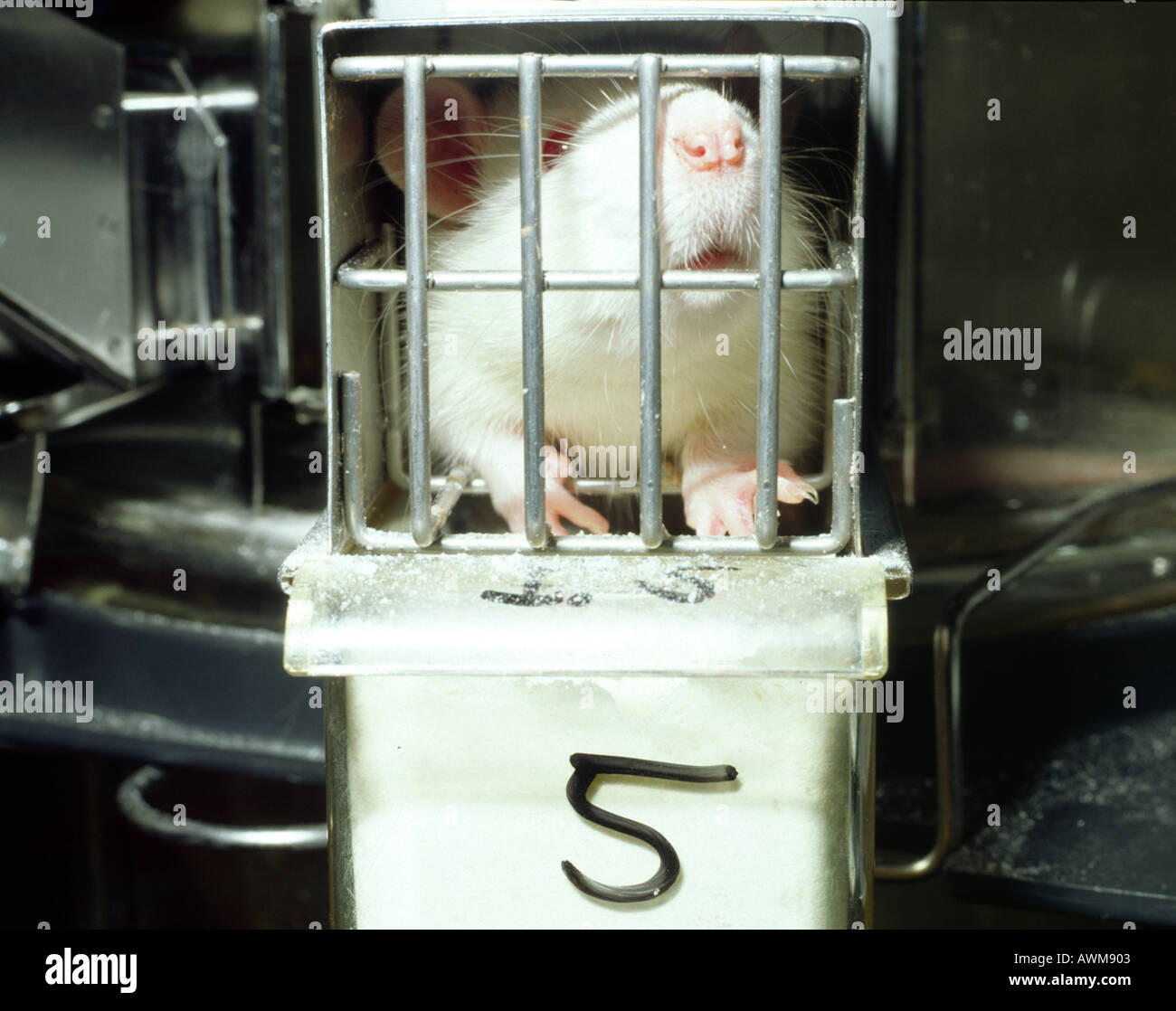Animal testing cage hi-res stock photography and images - Alamy