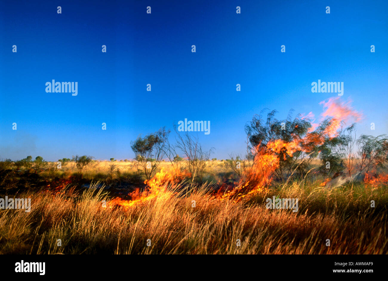 Billiluna hi-res stock photography and images - Alamy