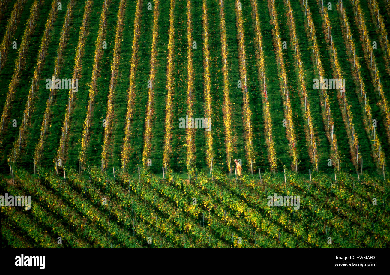 Kiedrich hi-res stock photography and images - Alamy