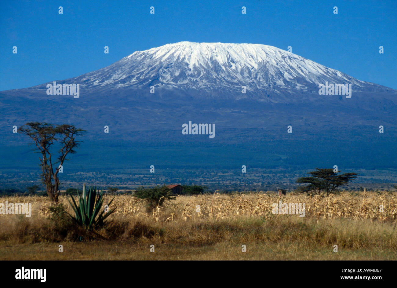 Mount Kenya Volcano