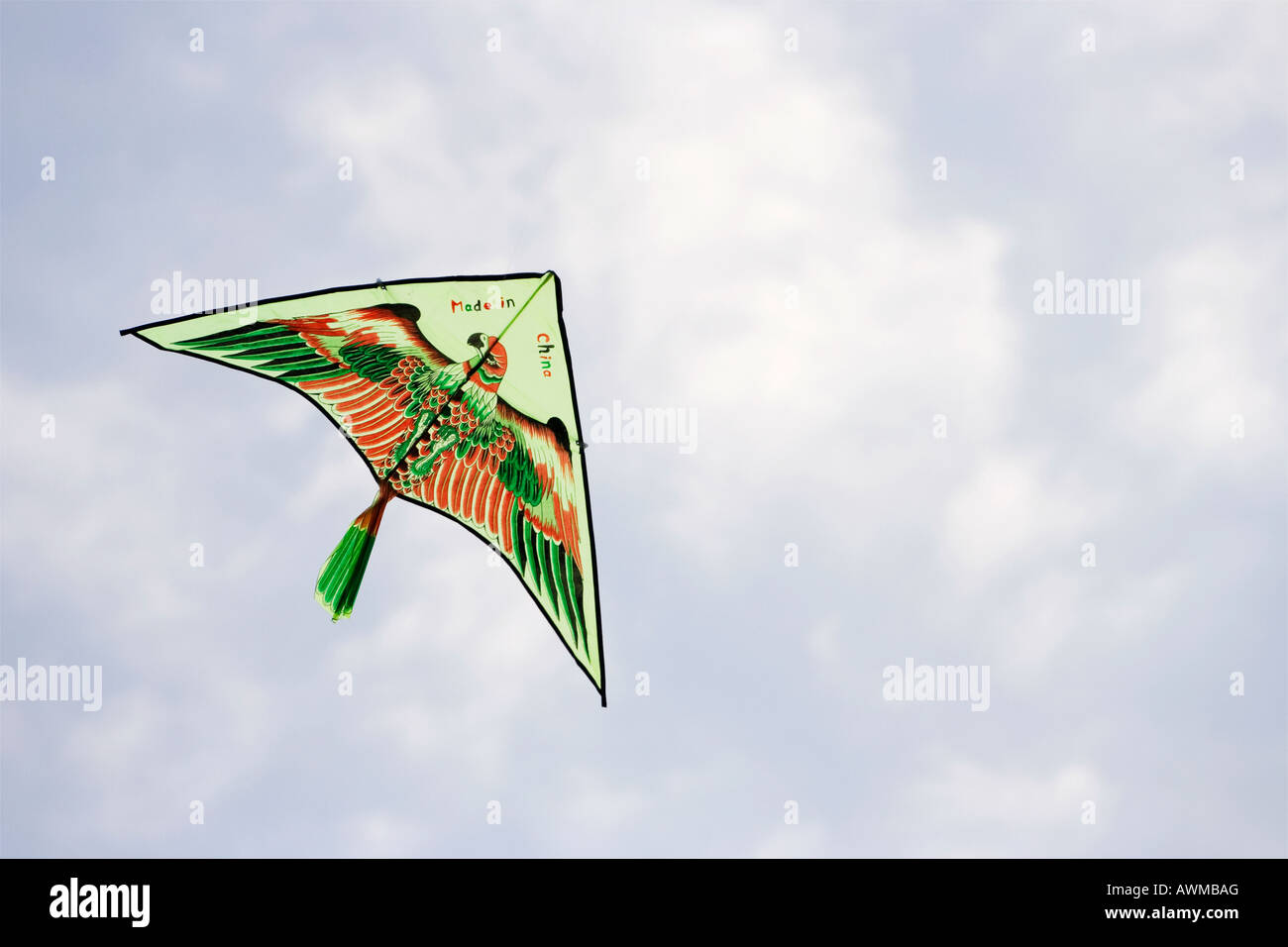 Chinese Bird Kites