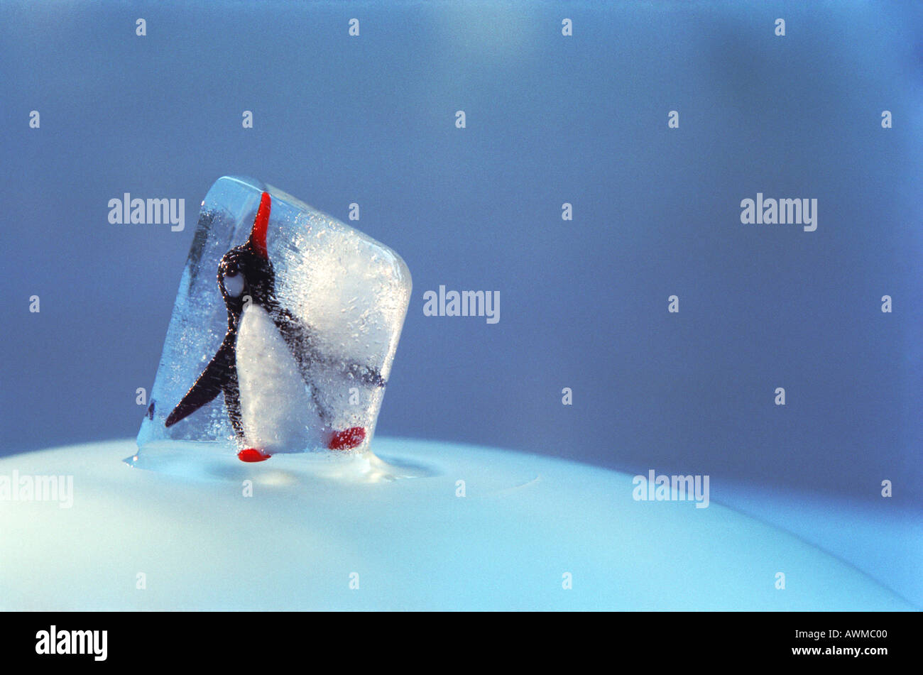 Penguin ice cubes hi-res stock photography and images - Alamy