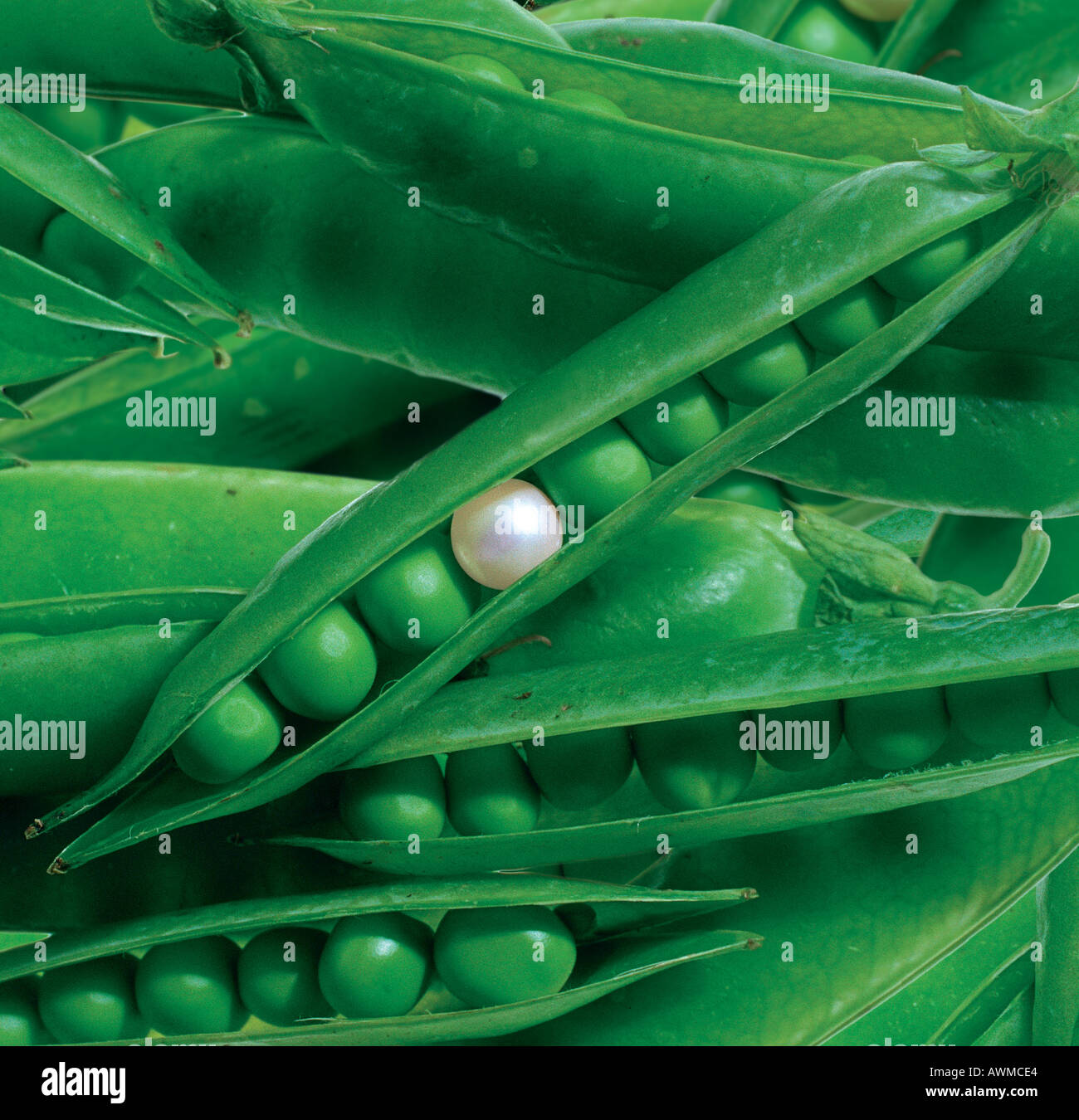 Close-up of pearl inside pea pod Stock Photo - Alamy