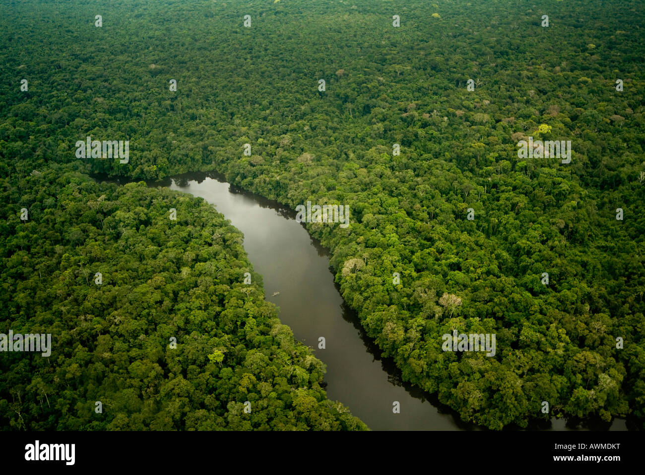 Lago Preto Amazon Rainforest and lake aerial Peru Stock Photo - Alamy