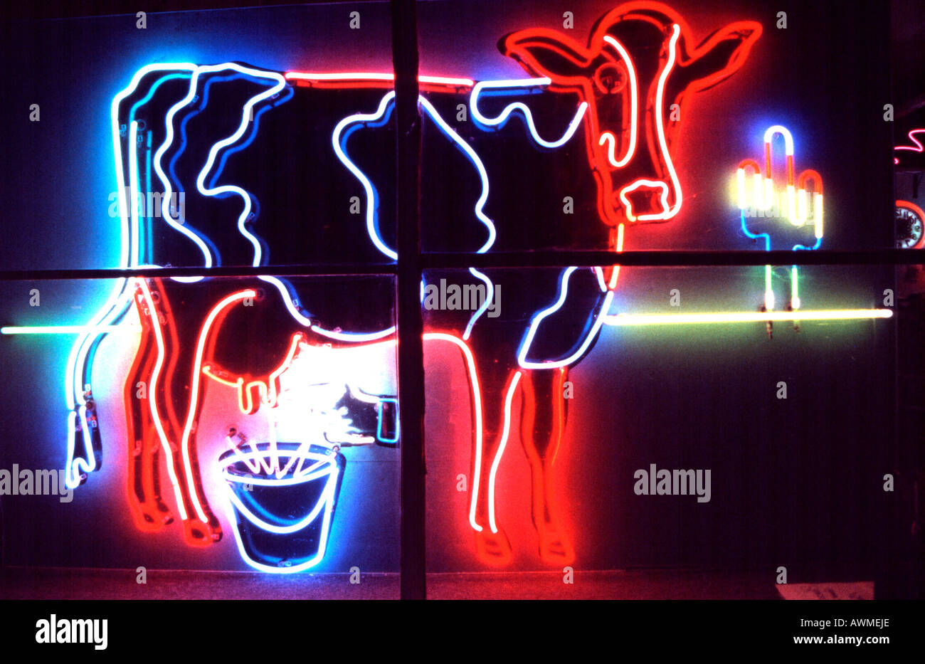 Neon cow in shop window Stock Photo - Alamy