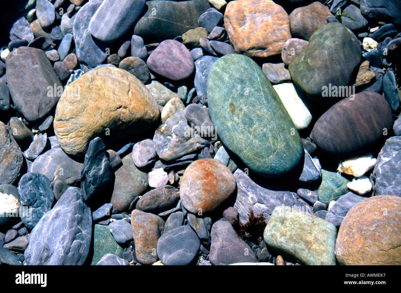 Pebbles on a beach Stock Photo - Alamy