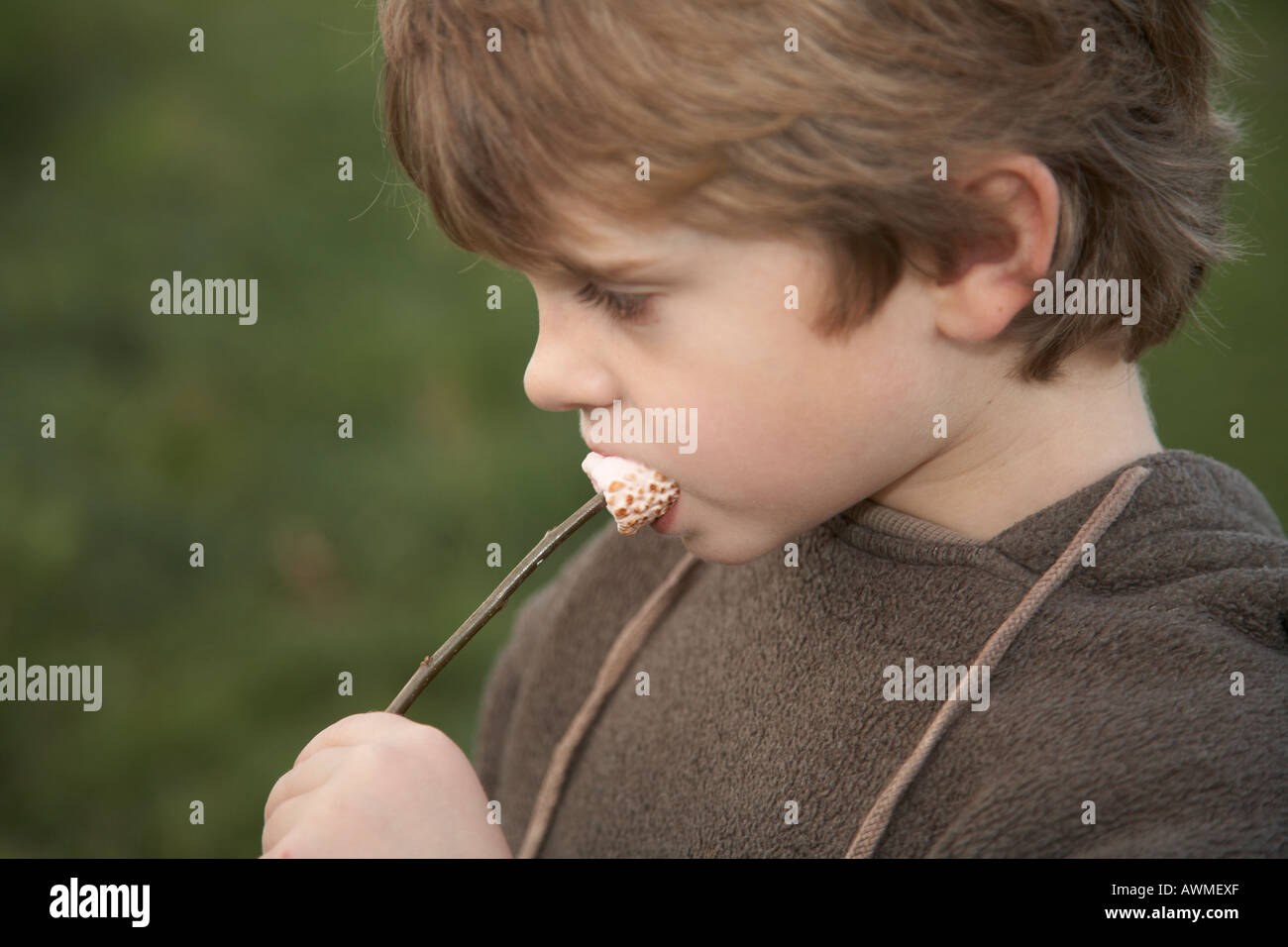 boy eating marsh mallow from stick Stock Photo - Alamy