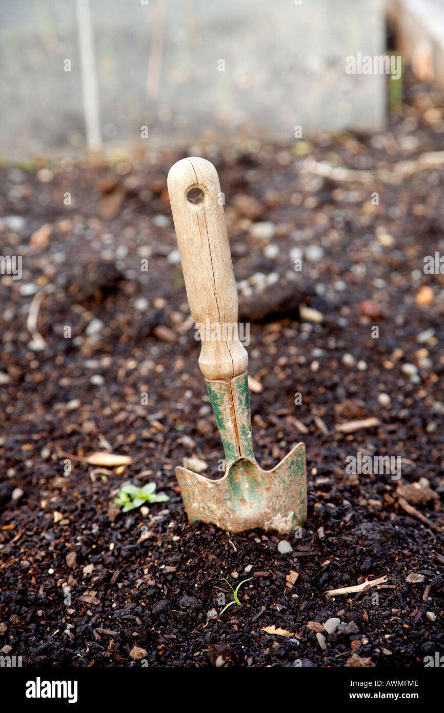 well used garden trowel planted in the ground Stock Photo - Alamy