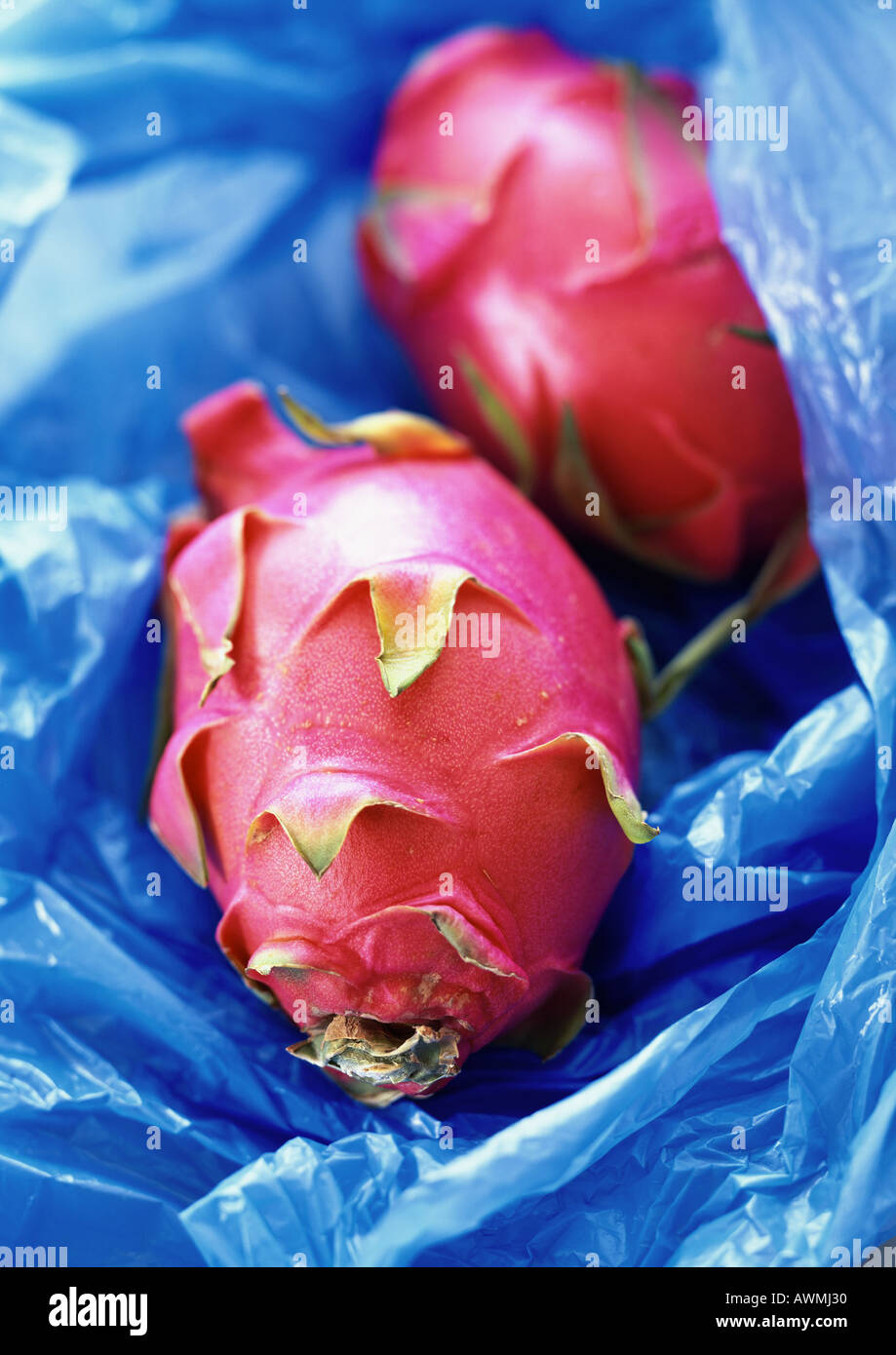 Pitaya Cactus High Resolution Stock Photography and Images - Alamy