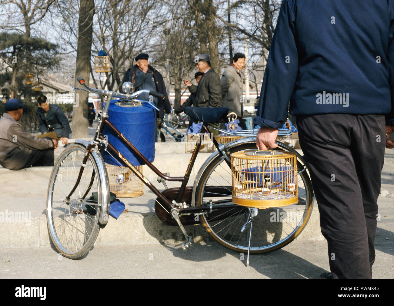 Men man holding bird cage hi-res stock photography and images - Alamy