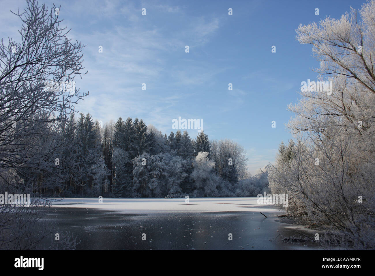 Frostige pflanzen hi-res stock photography and images - Alamy
