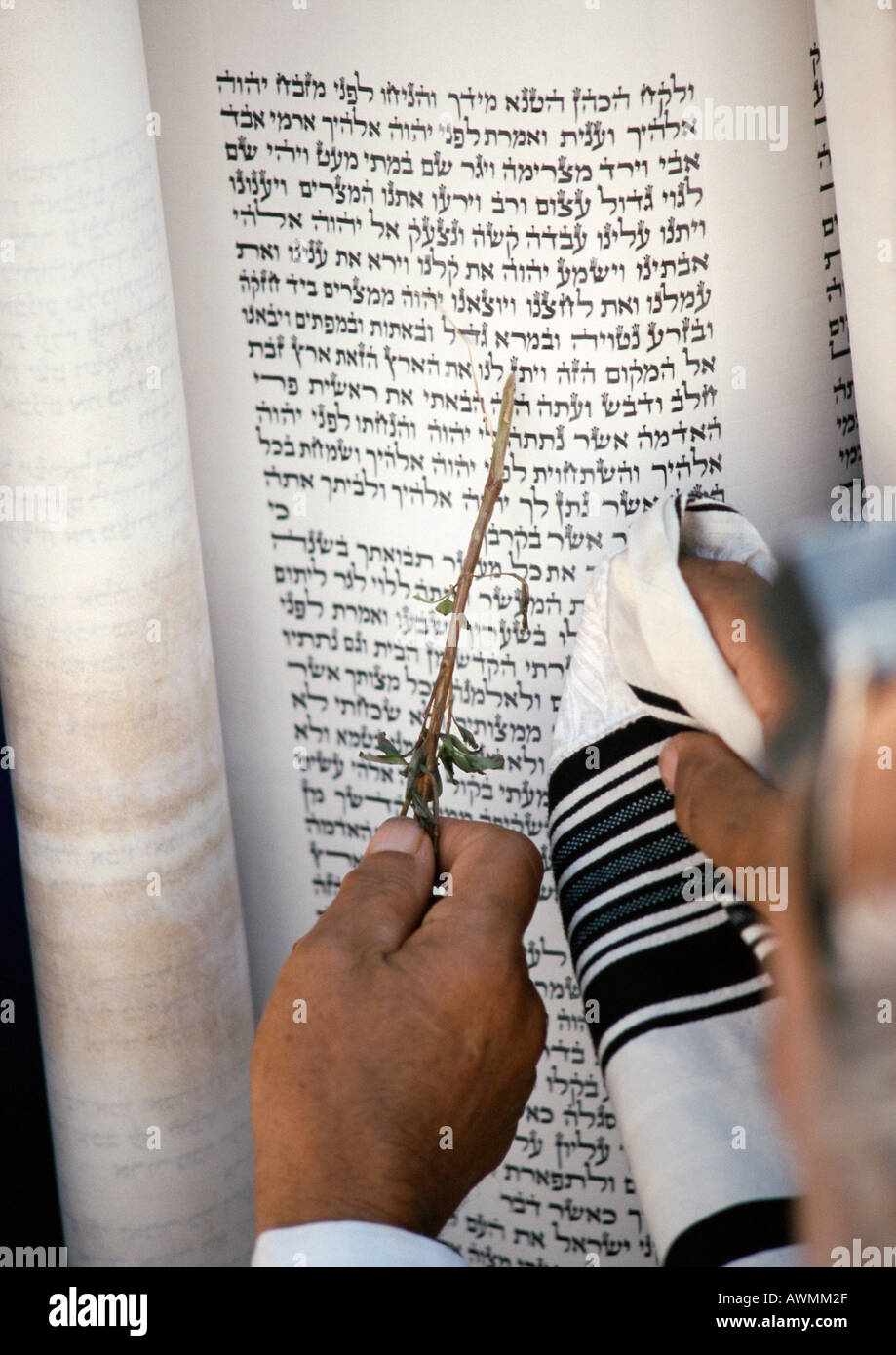 Israel, Jerusalem, hand pointing at Torah with olive branch, close-up ...