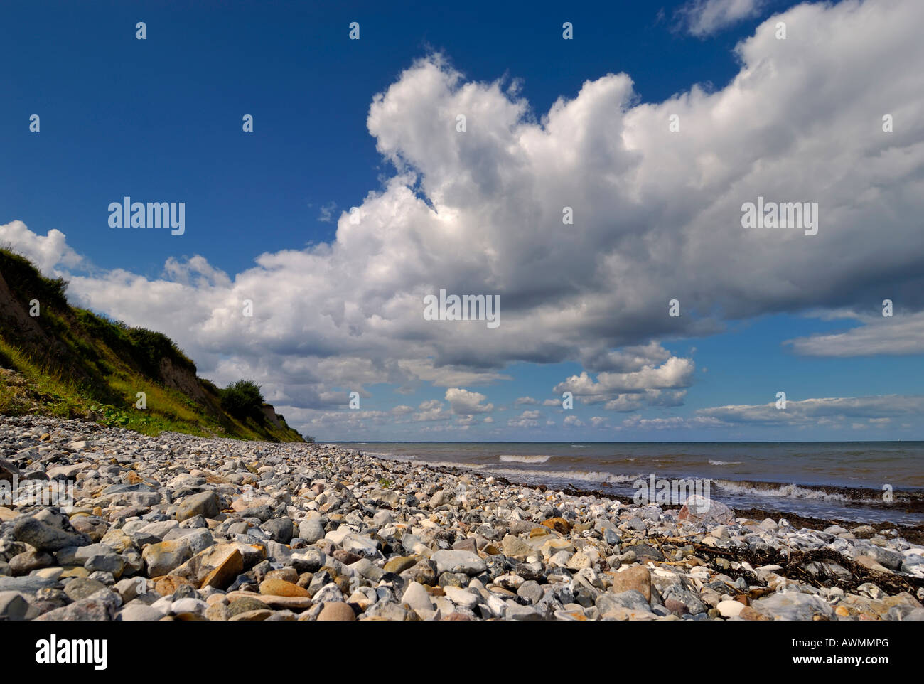 Shingle beach in Kiel Bay near Altbuelk, Baltic Sea, Schleswig-Holstein ...