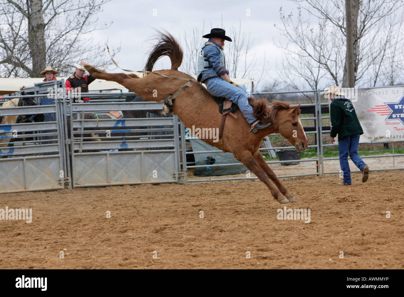 Riding wild horse at Meyhen Rodeo 2006, Thuringia, Germany, Europe ...