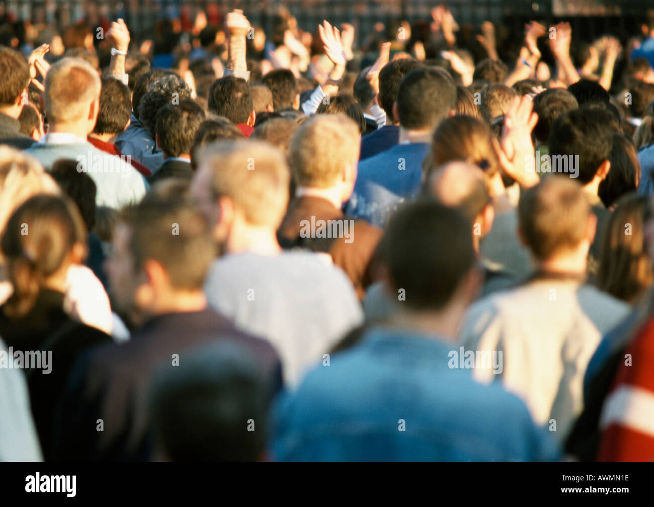 Crowd, head and shoulders, rear view, blurred Stock Photo - Alamy