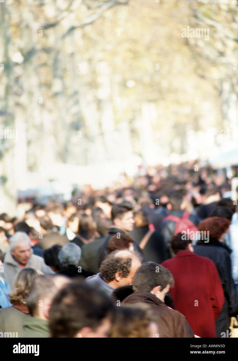Crowd, trees in background, blurred Stock Photo - Alamy