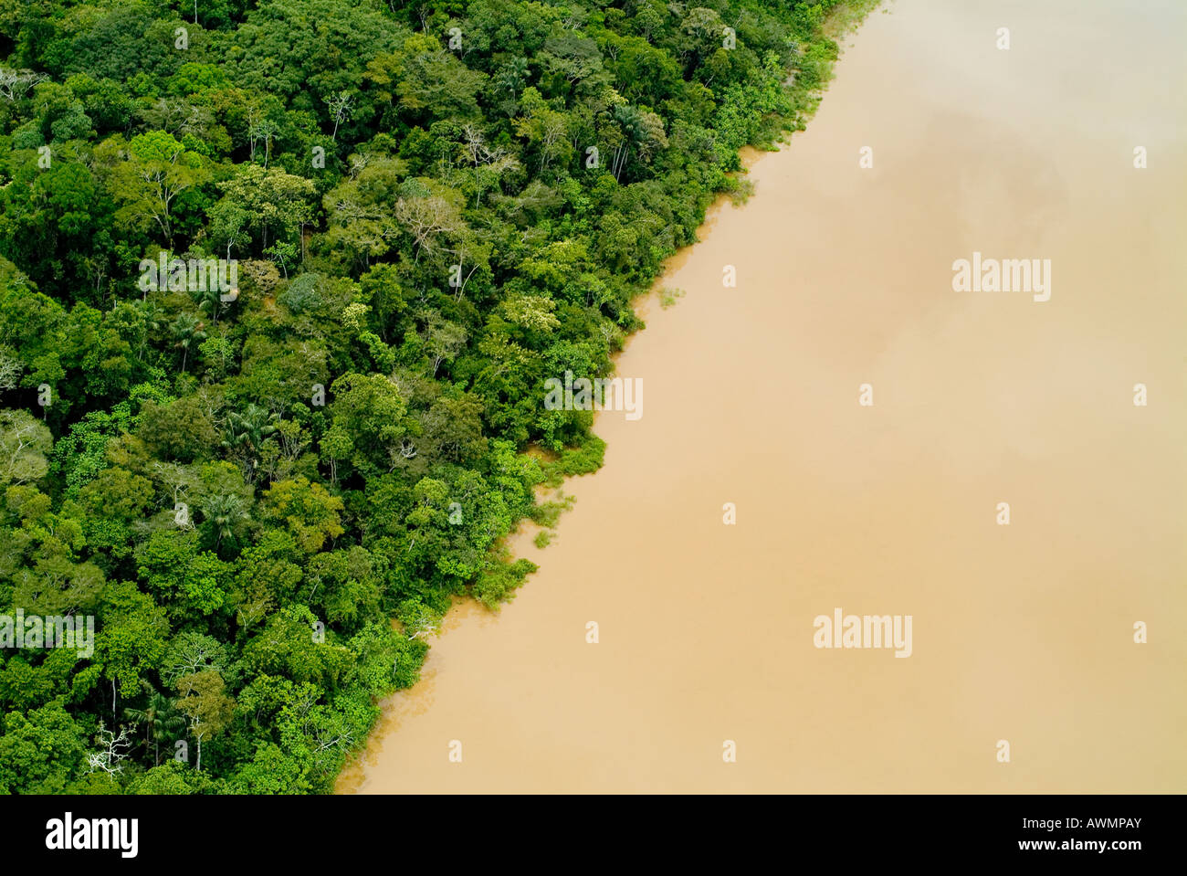 Amazon Rainforest and Yavari River aerial Stock Photo - Alamy