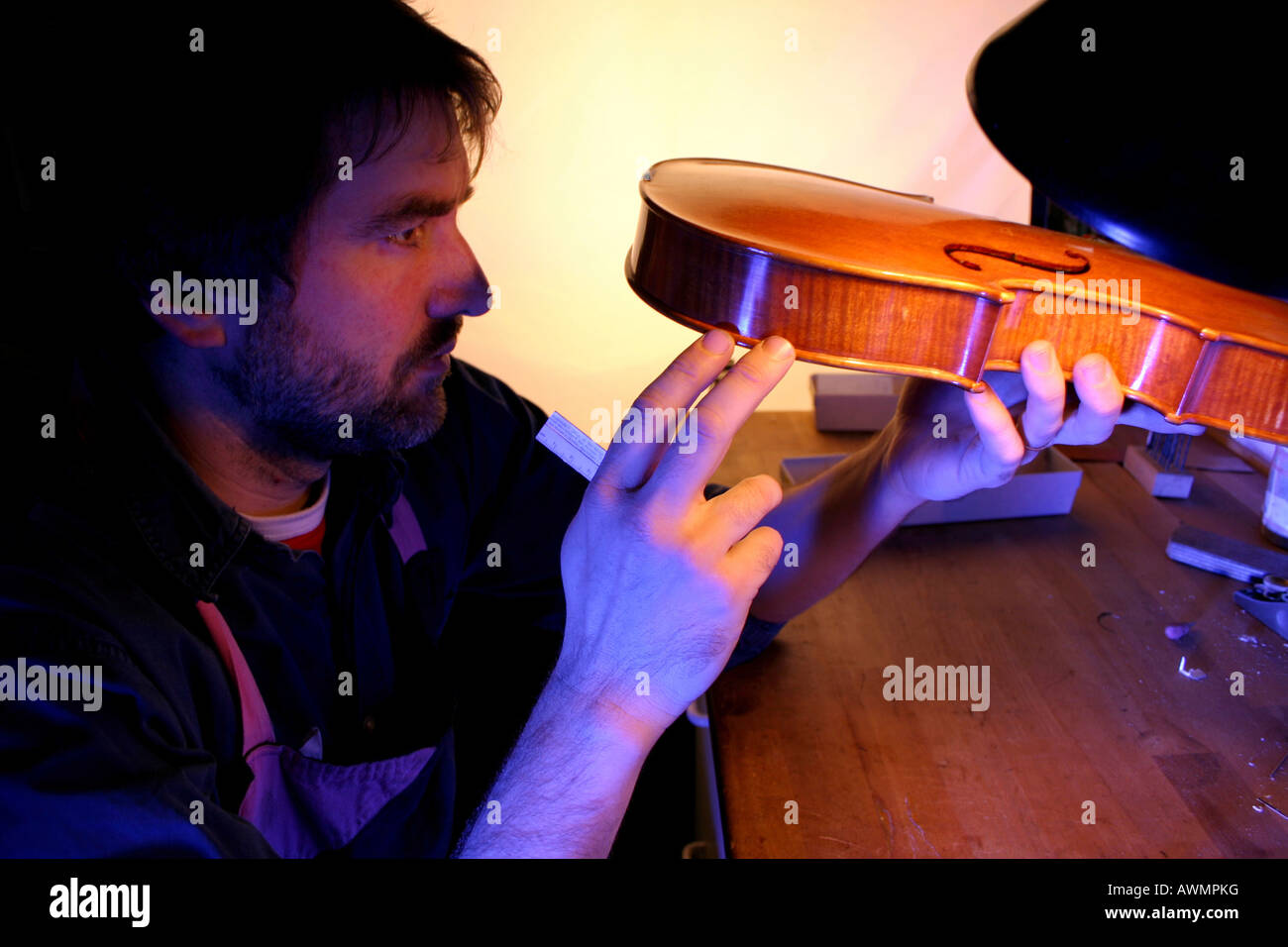 Violin-maker (luthier) checking the position of the sound post Stock ...