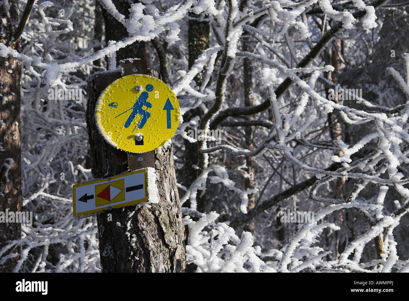 Cross-country skiing, route marker Stock Photo - Alamy