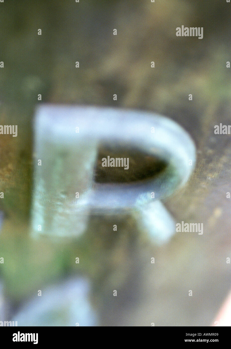 Letter R, close-up, blurred Stock Photo - Alamy