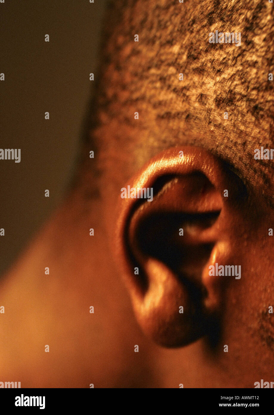 The five senses hearing hi-res stock photography and images - Alamy