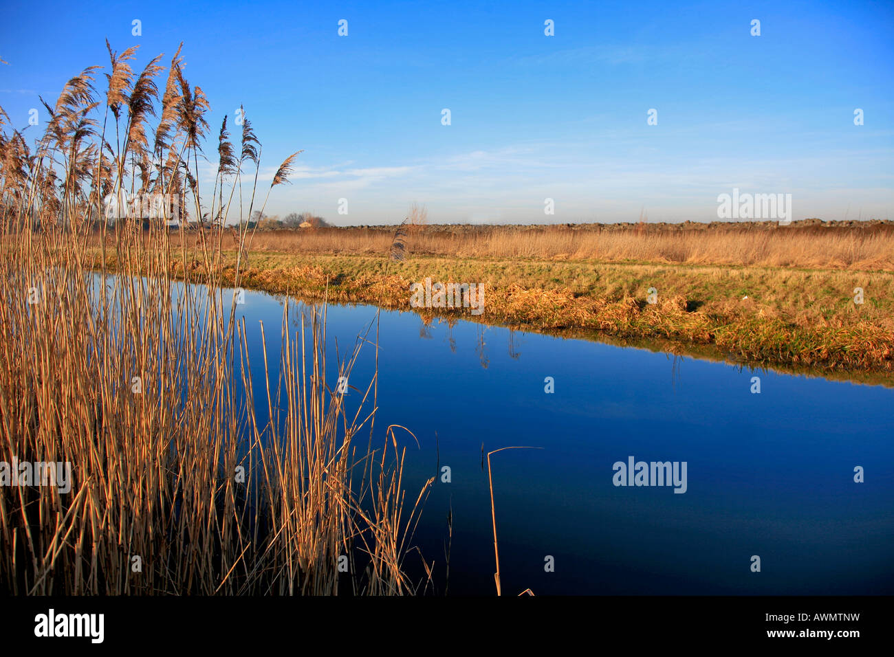 Solar farms britain hi-res stock photography and images - Alamy