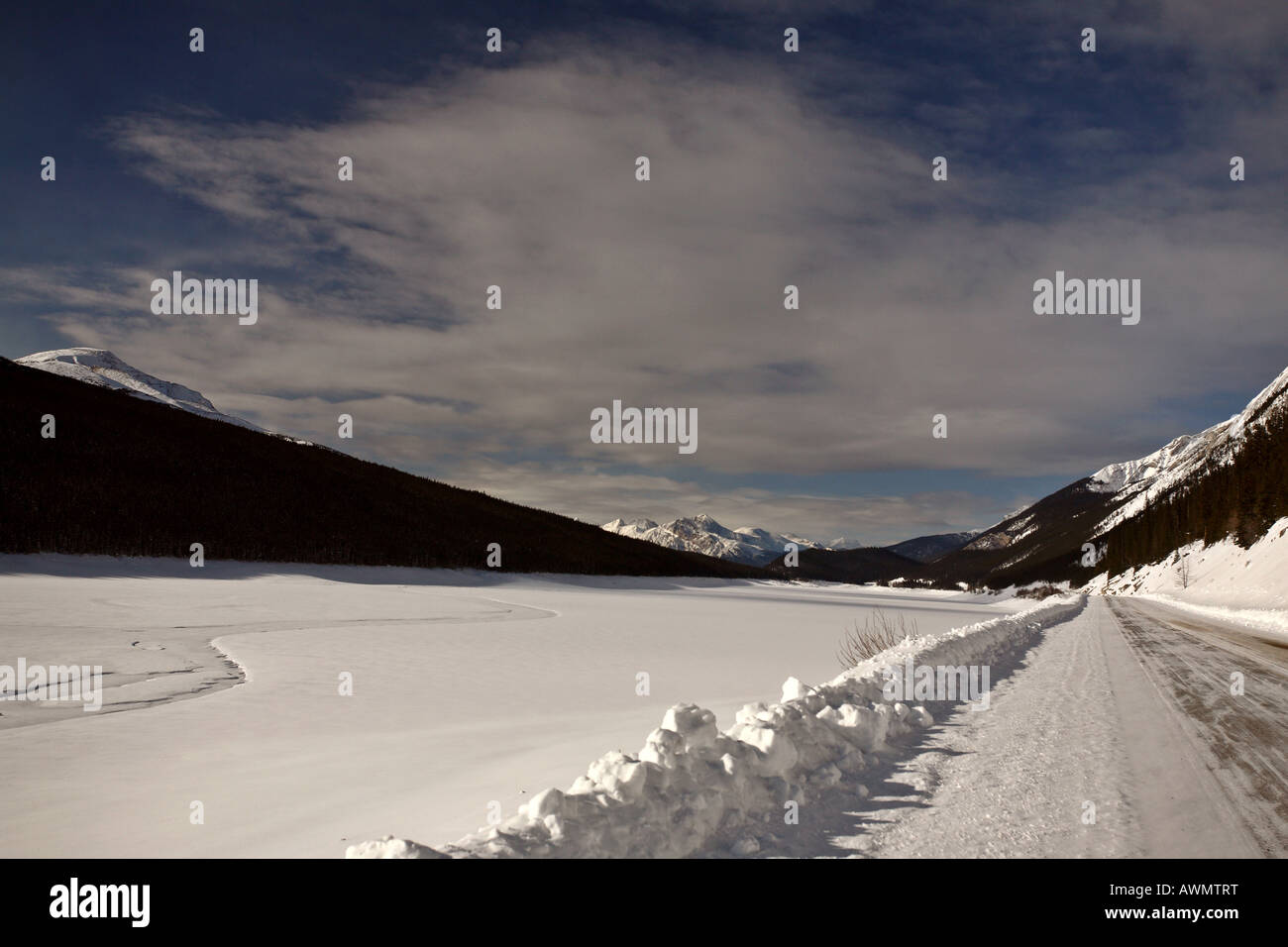 Snow trees winter alberta hi-res stock photography and images - Alamy
