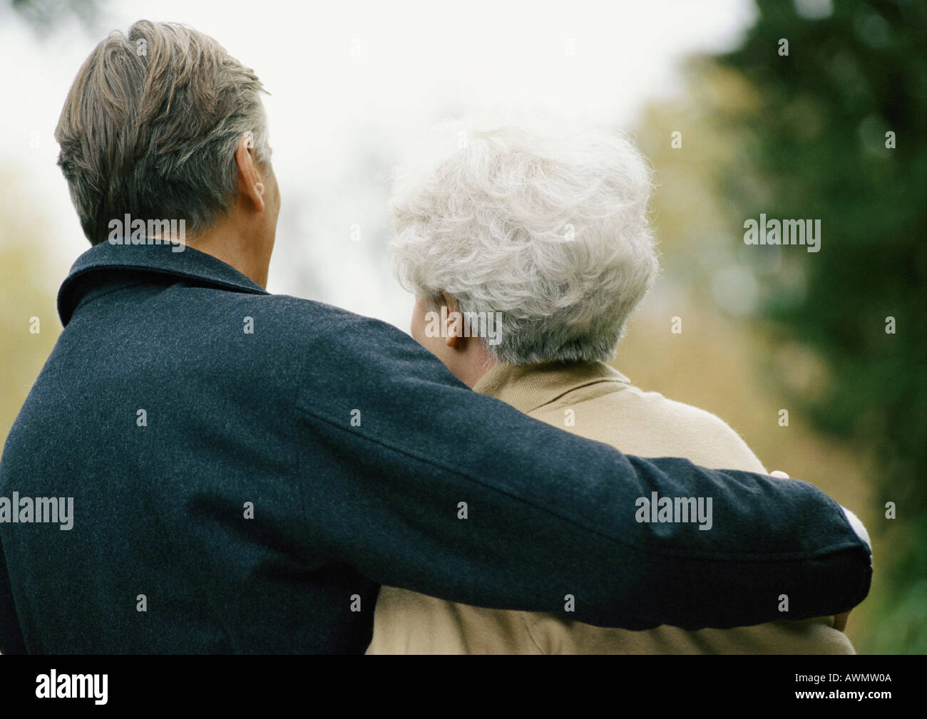 Man with arm around woman, head and shoulders, rear view Stock Photo ...