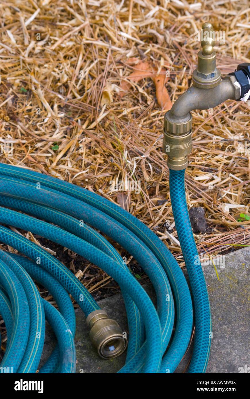 Tap and hose against a background of straw mulch Stock Photo - Alamy