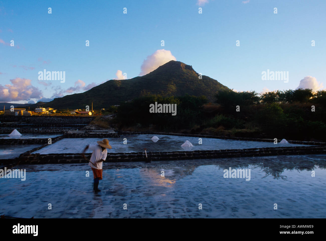 Tamarin mauritius salt hi-res stock photography and images - Alamy