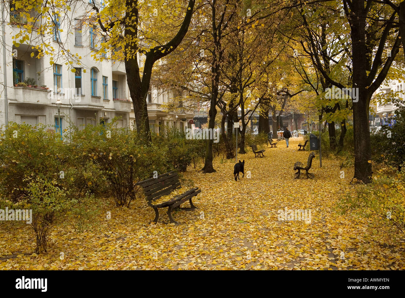 Street scene from Berlin, Germany in autumn Stock Photo - Alamy