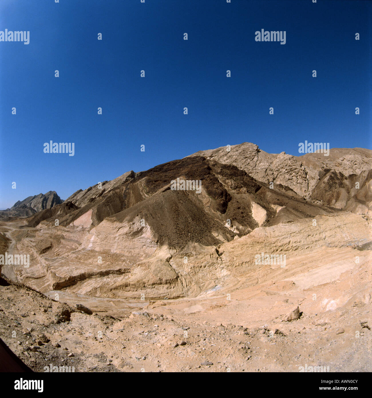 negev desert israel Stock Photo - Alamy