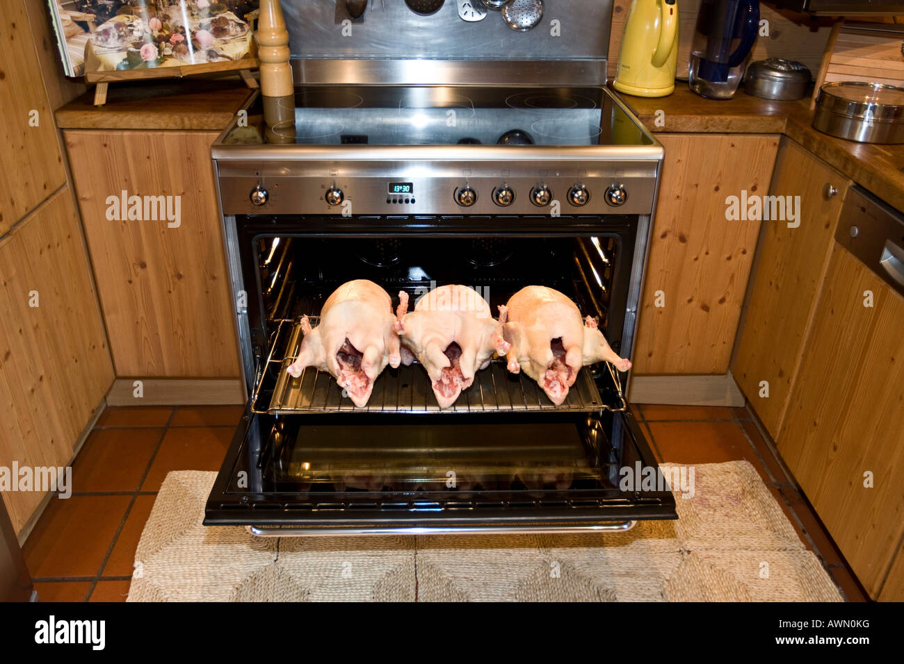Prepared dead bird hi-res stock photography and images - Alamy