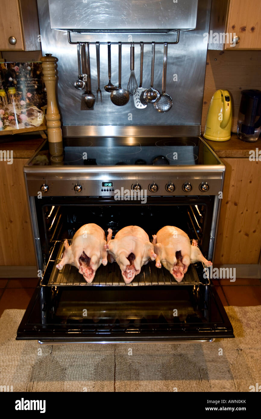 Dead geese hi-res stock photography and images - Alamy