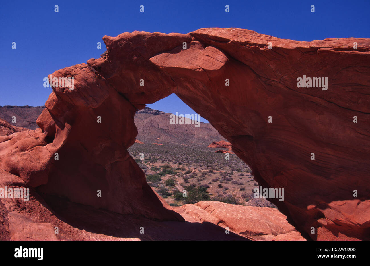 Wind carved sandstone arch at the Valley of Fire State Park Nevada ...